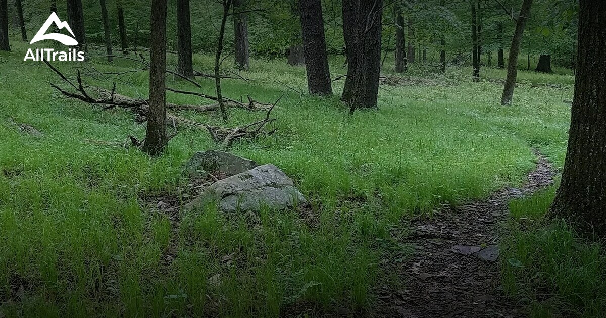 Best hikes and trails in Fell | AllTrails