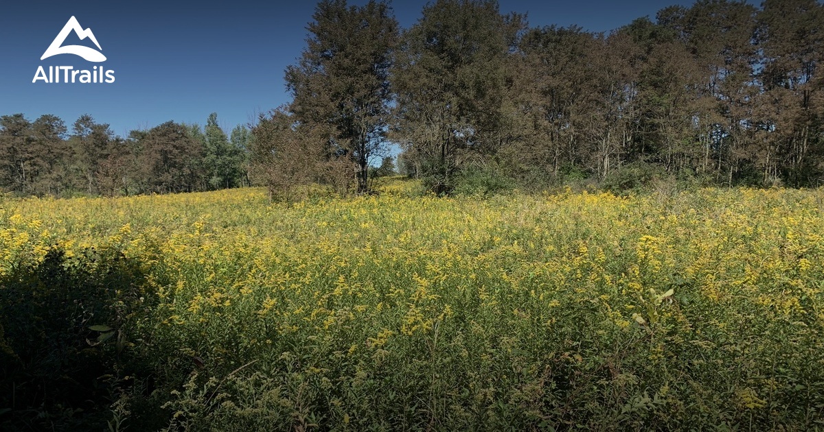 Best hikes and trails in Fleetville | AllTrails