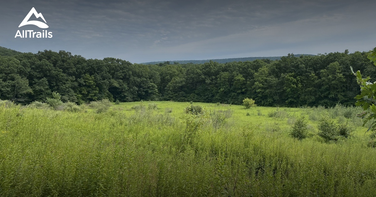 Best forest trails in Freeland | AllTrails