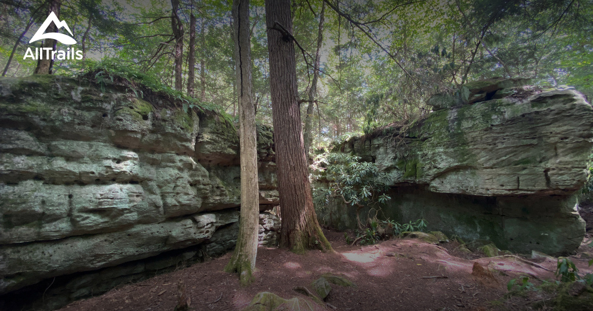 Best hikes and trails in Grampian | AllTrails