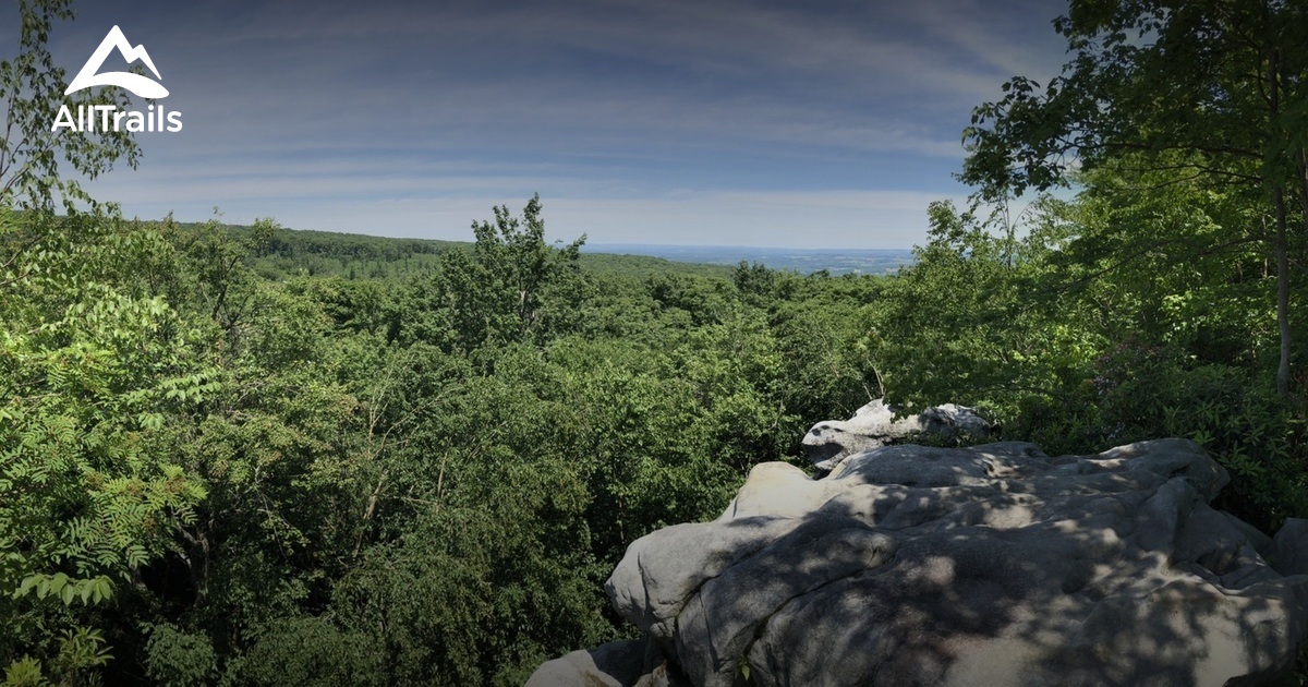 Best hikes and trails in Gray | AllTrails