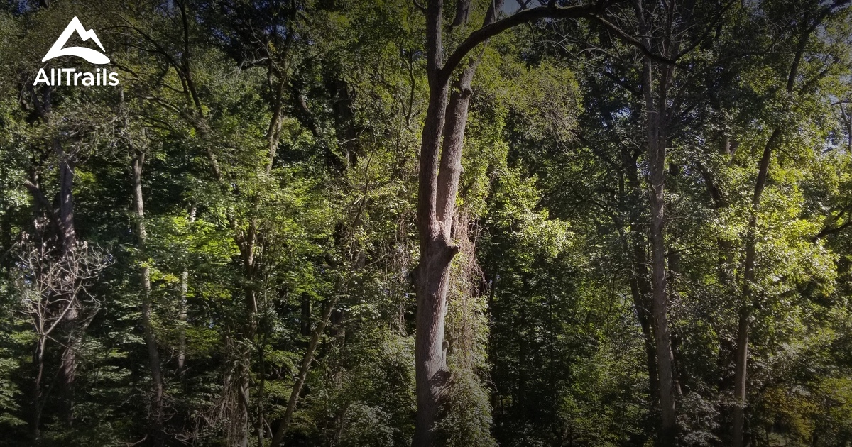 Best lake trails in Haverford | AllTrails