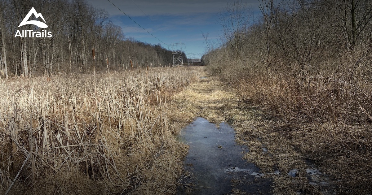 Best Forest Trails in Hopeland | AllTrails