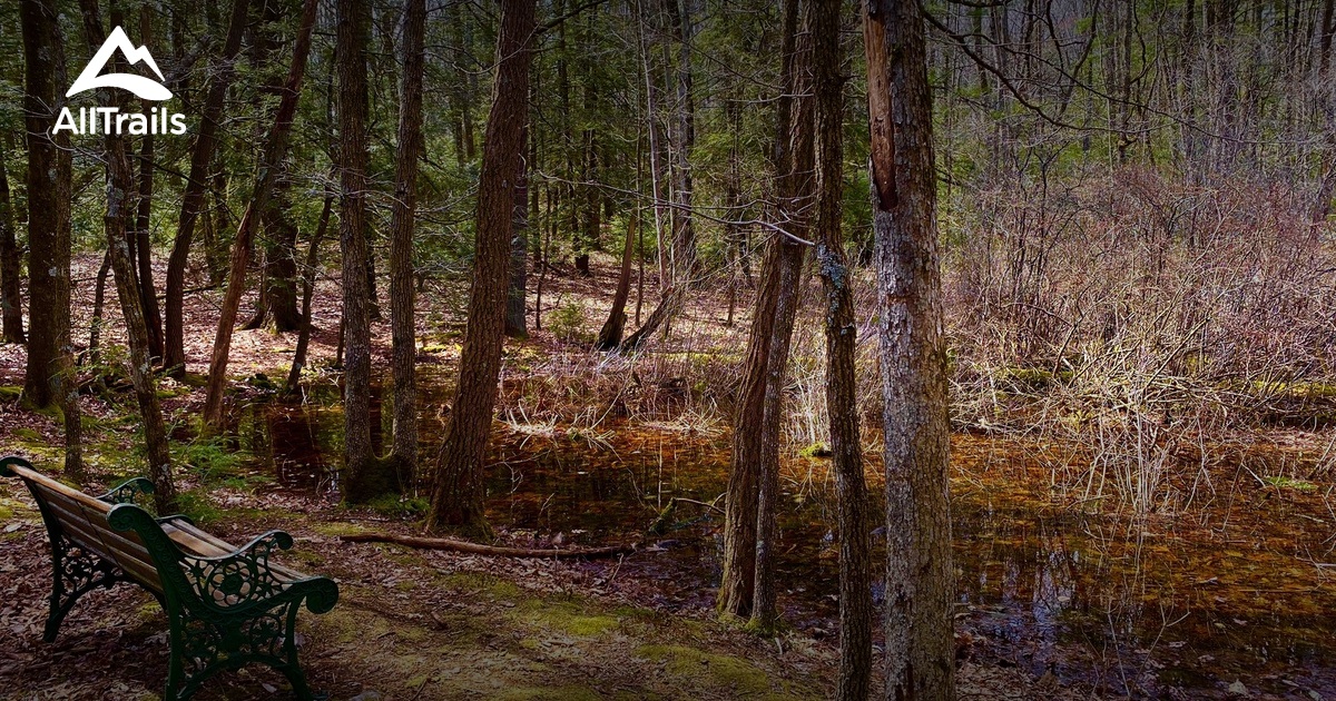 Best hikes and trails in Hughesville | AllTrails