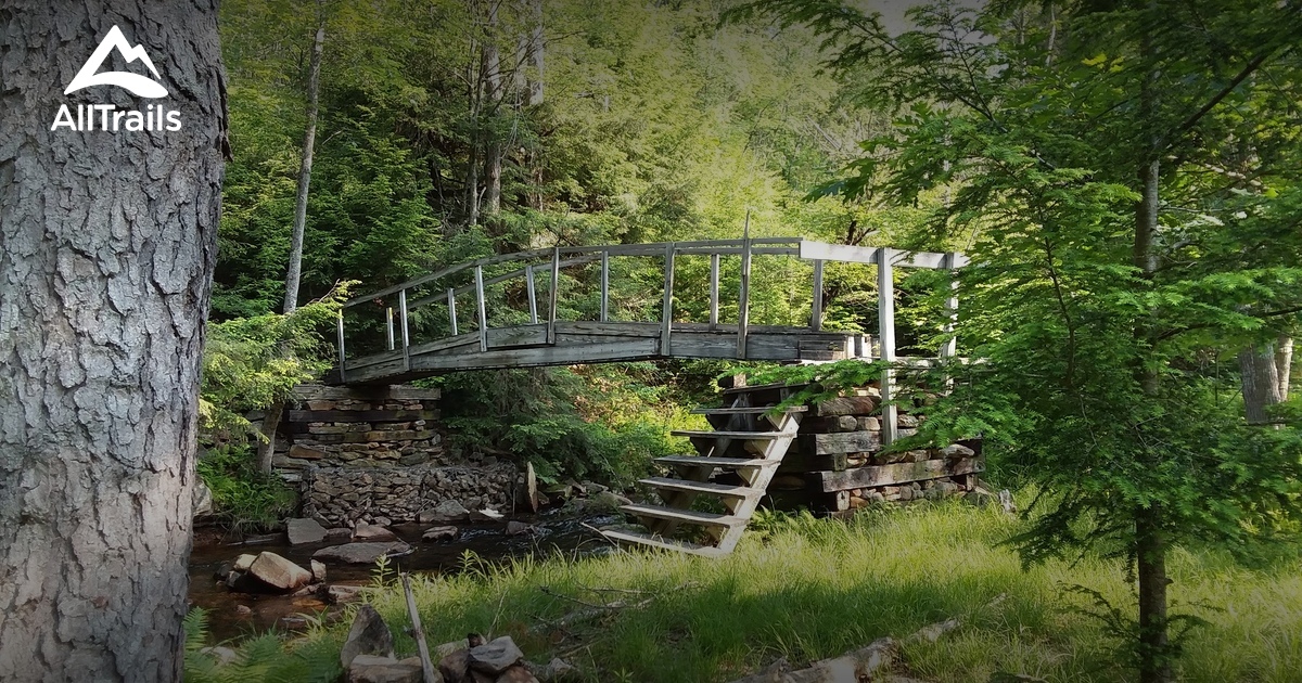 Best hikes and trails in Karthaus | AllTrails
