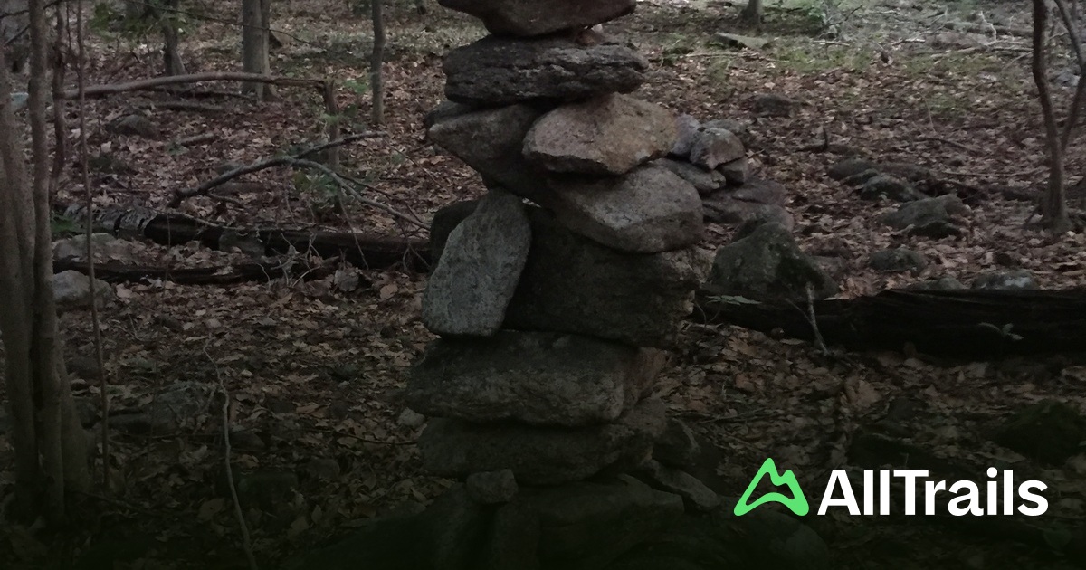 Best forest trails in Laureldale | AllTrails