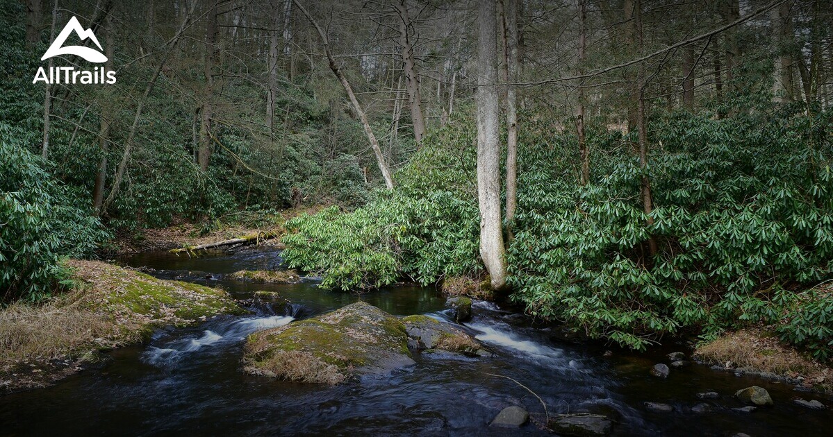 Best hikes and trails in Lehighton | AllTrails