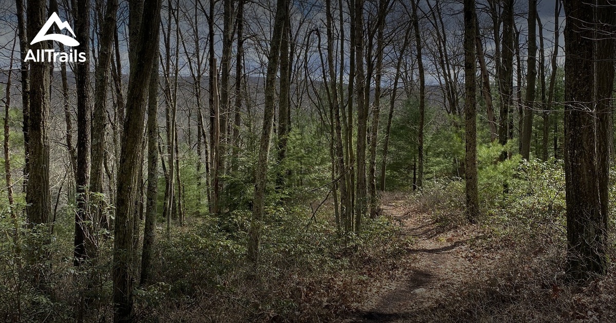 Best forest trails in Lykens | AllTrails