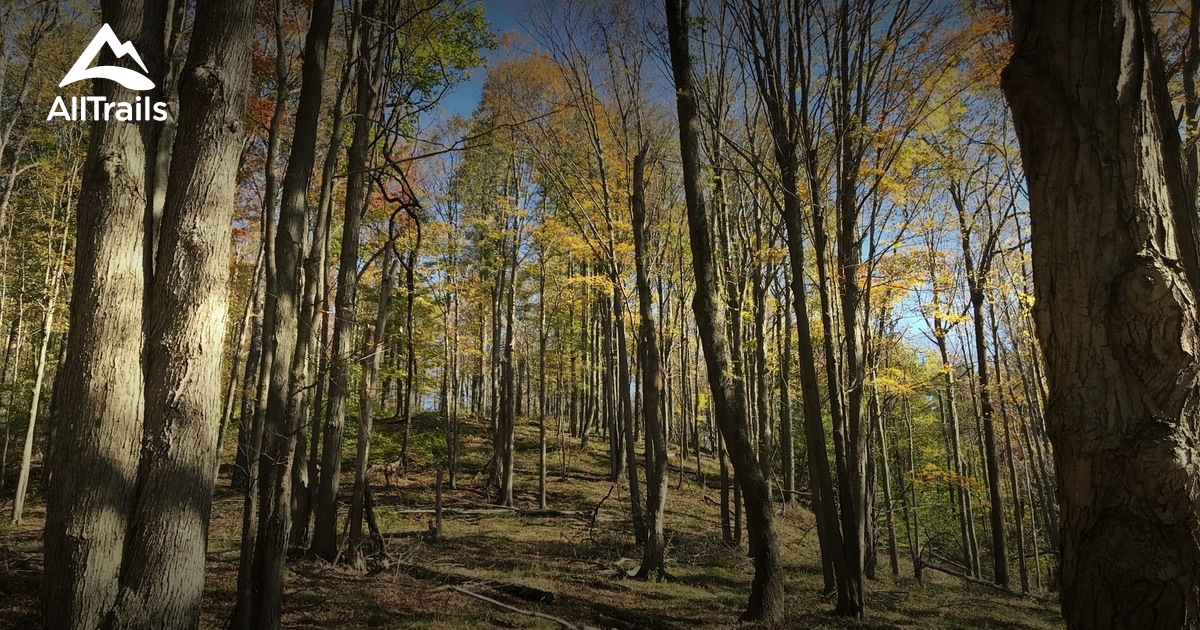 Die Besten Einfachen Routen in Marienville | AllTrails