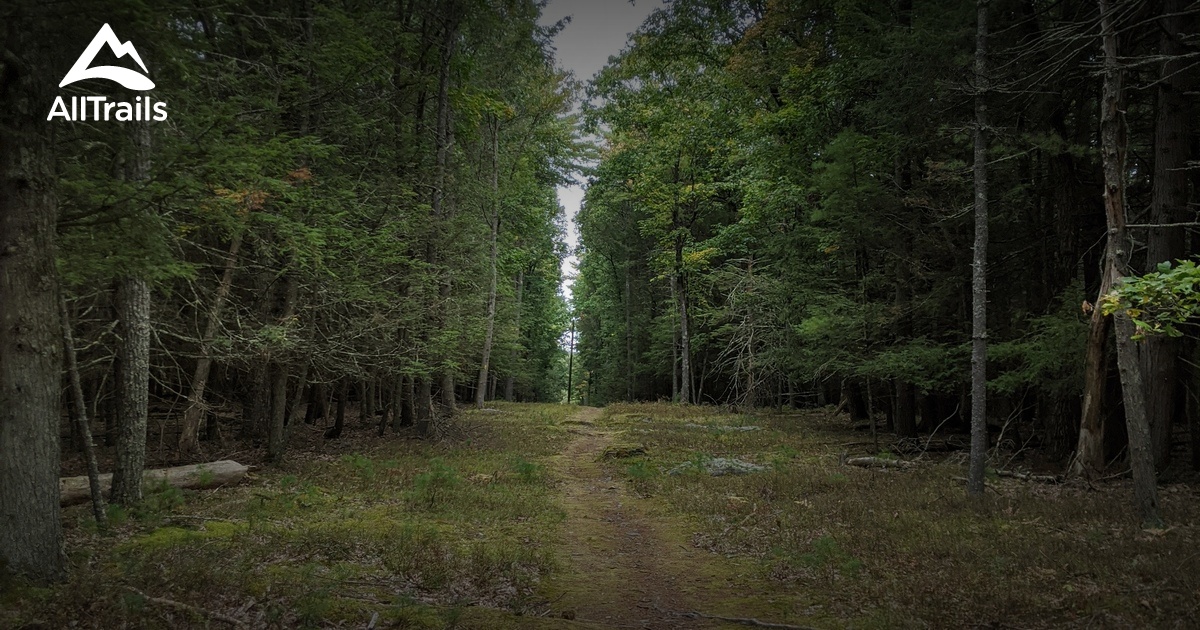 Best hikes and trails in Milanville | AllTrails