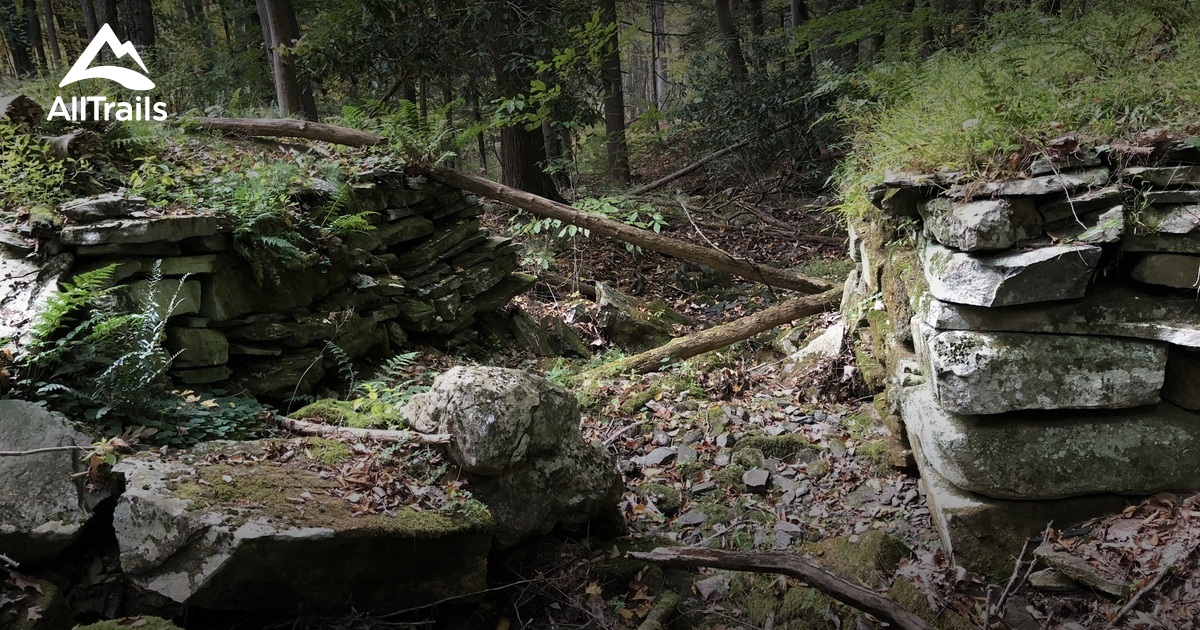 Best hikes and trails in Millrift | AllTrails