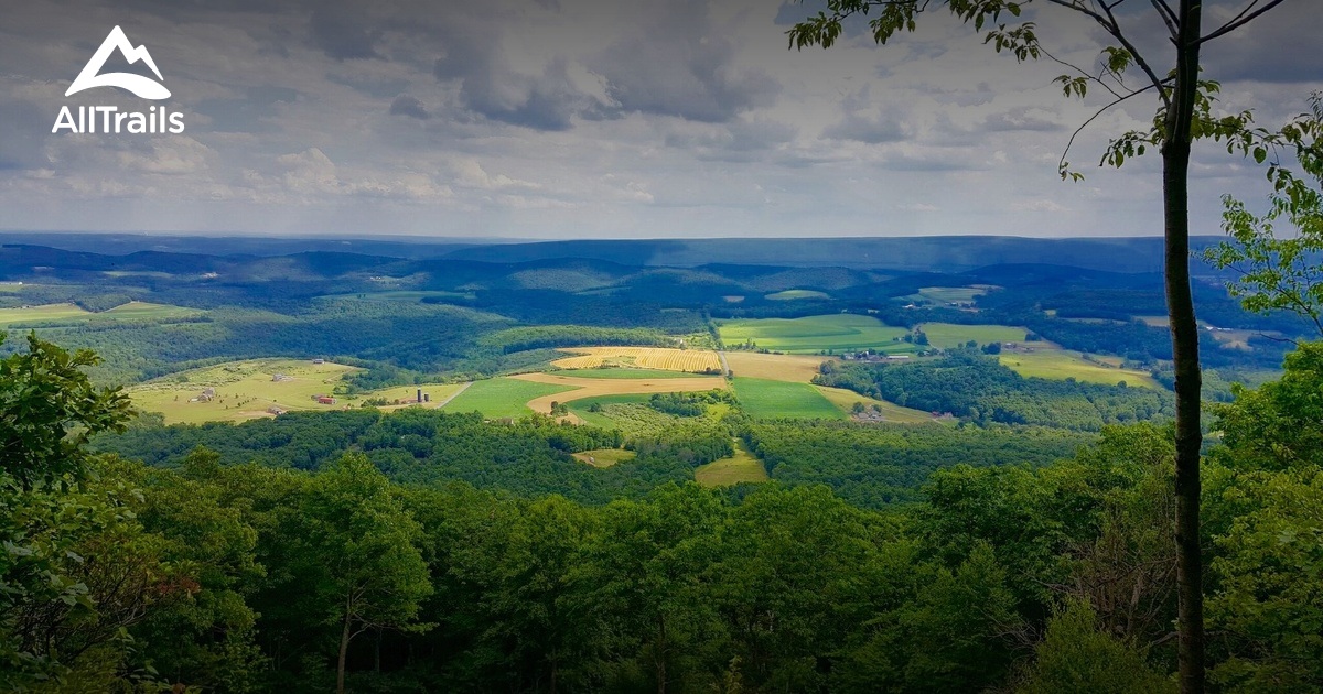10 Best trails and hikes in Montoursville | AllTrails