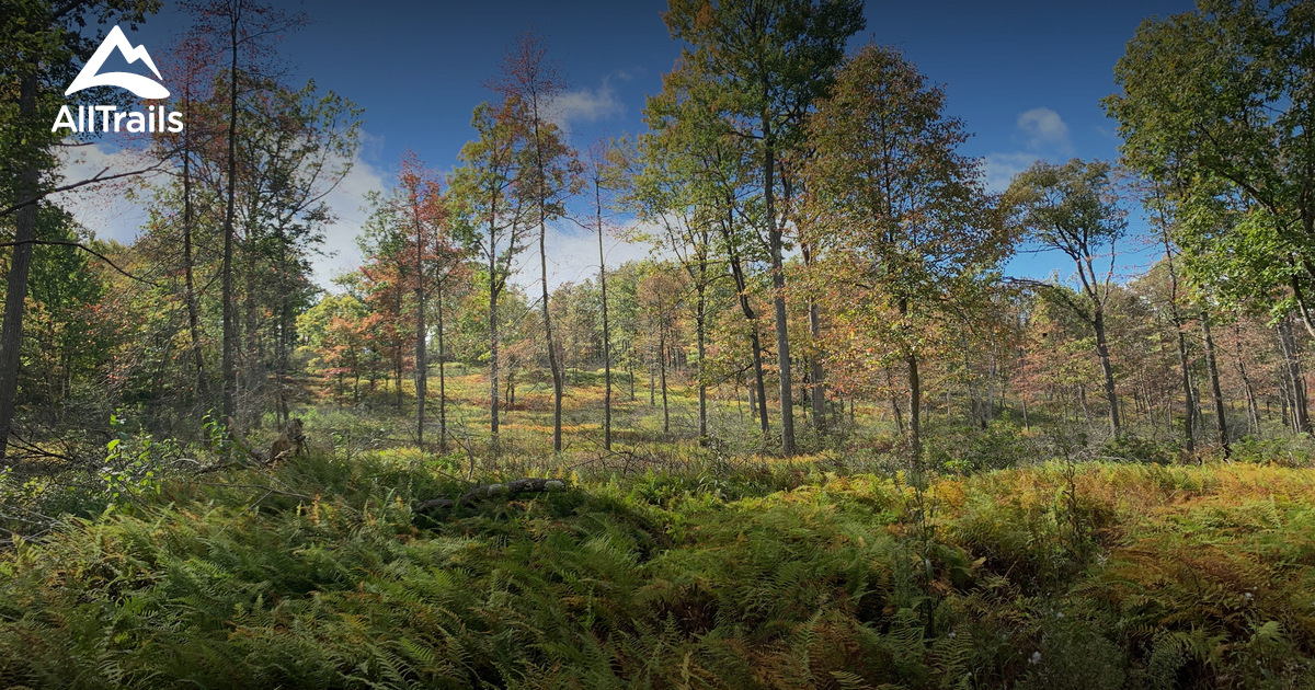 Best hikes and trails in Moshannon | AllTrails