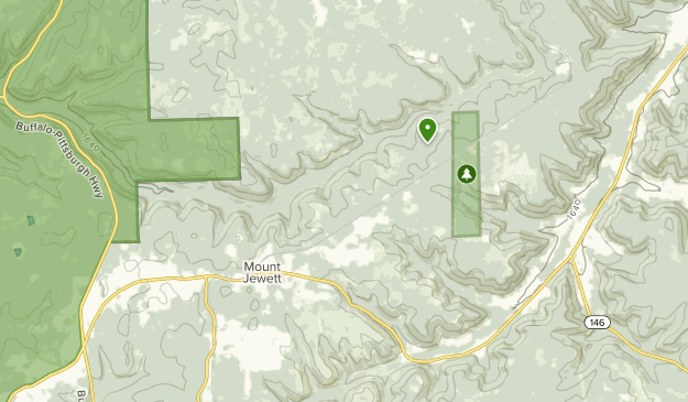 Best Trails near Mount Jewett, Pennsylvania | AllTrails