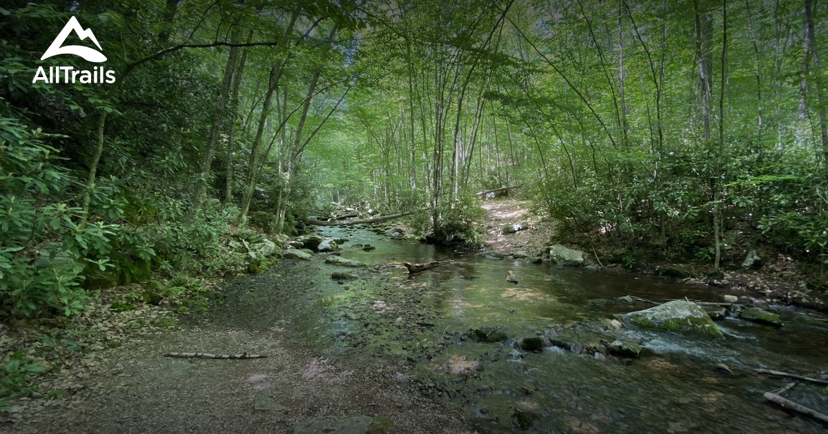 De beste stiene for stiløping i Mount Pocono | AllTrails