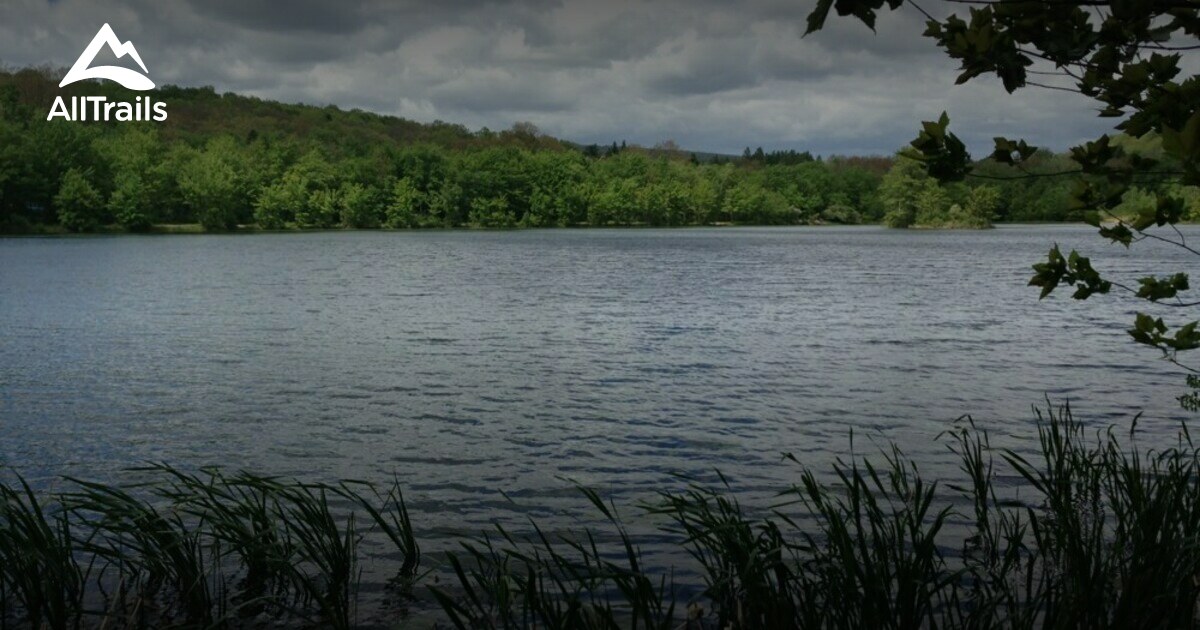 Best hikes and trails in Mountain Top | AllTrails