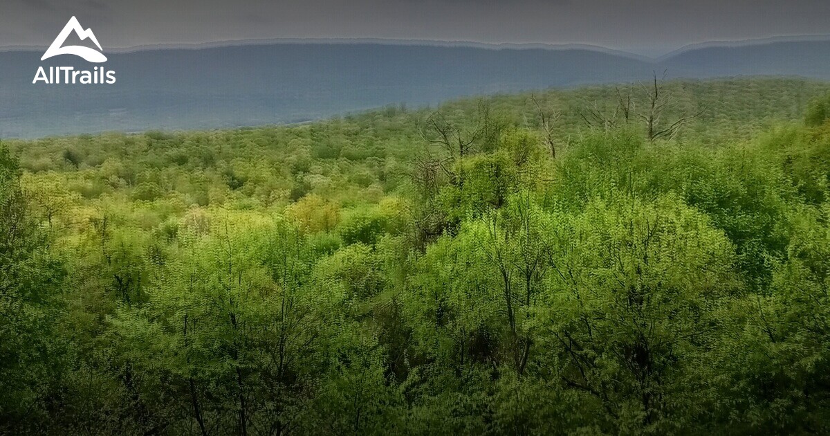 Best hikes and trails in Muir | AllTrails