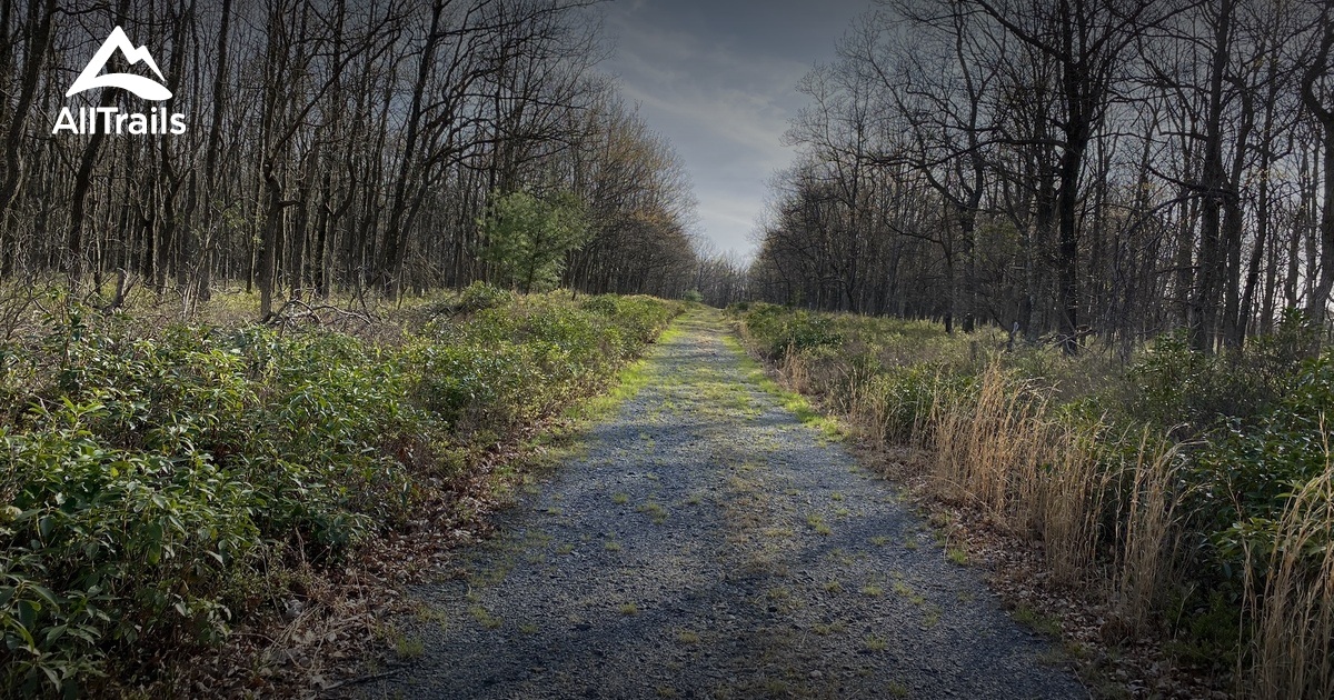 Best hikes and trails in Nesquehoning | AllTrails