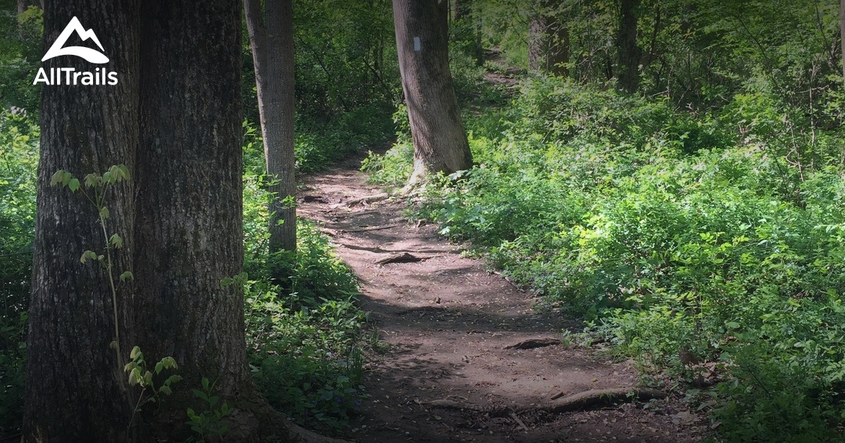 Best beach trails in Newtown Square | AllTrails