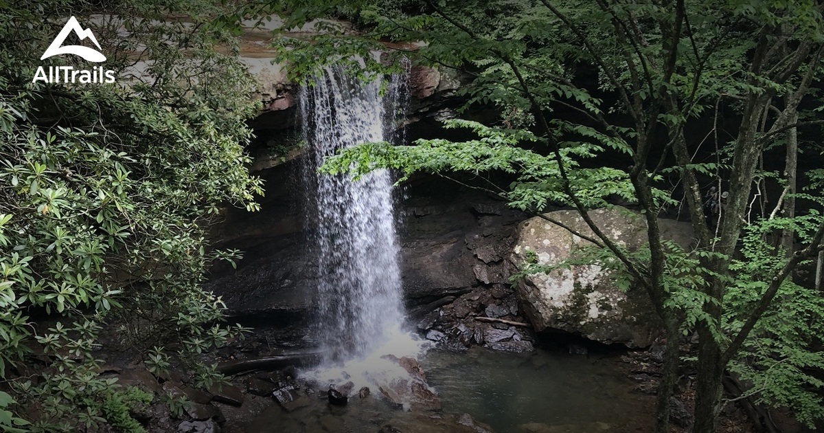 10 Best trails and hikes in Ohiopyle | AllTrails