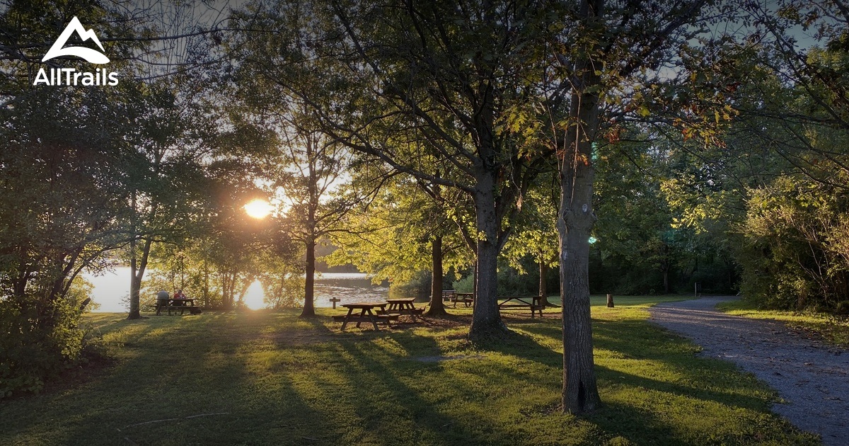 Best forest trails in Ono | AllTrails