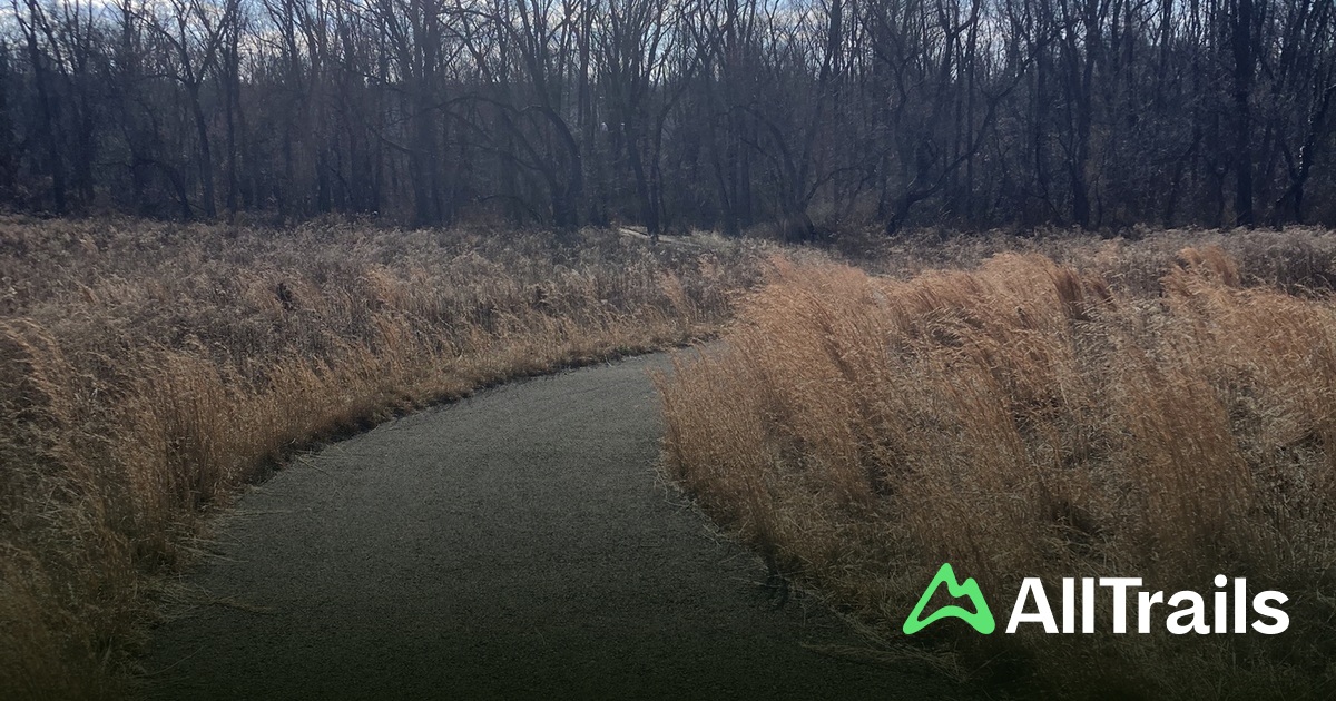 Best river trails in Oreland | AllTrails