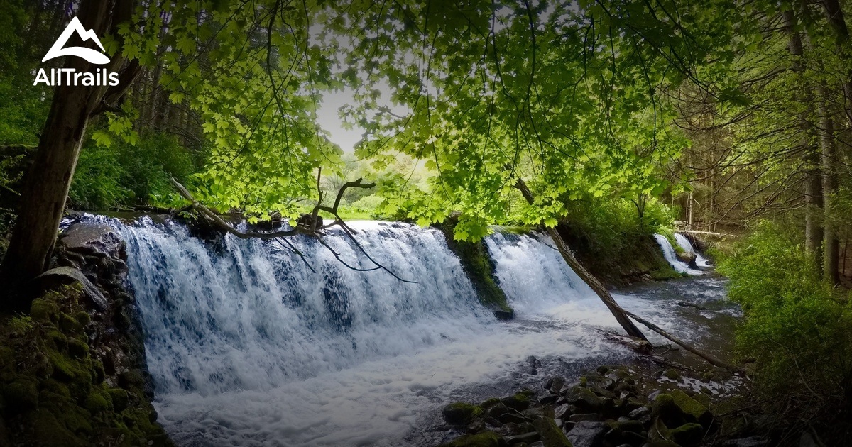 Best hikes and trails in Parryville | AllTrails