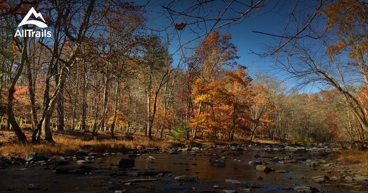 Best hikes and trails in Pipersville | AllTrails