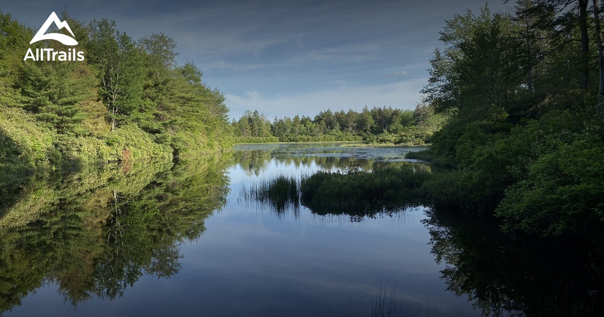 Best hikes and trails in Pocono Lake | AllTrails
