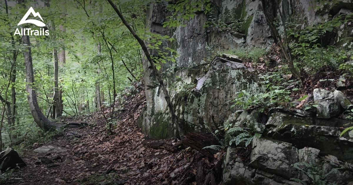 Best hikes and trails in Point Pleasant | AllTrails