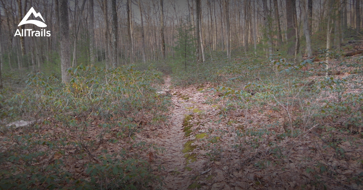 10 Best trails and hikes in Reedsville | AllTrails