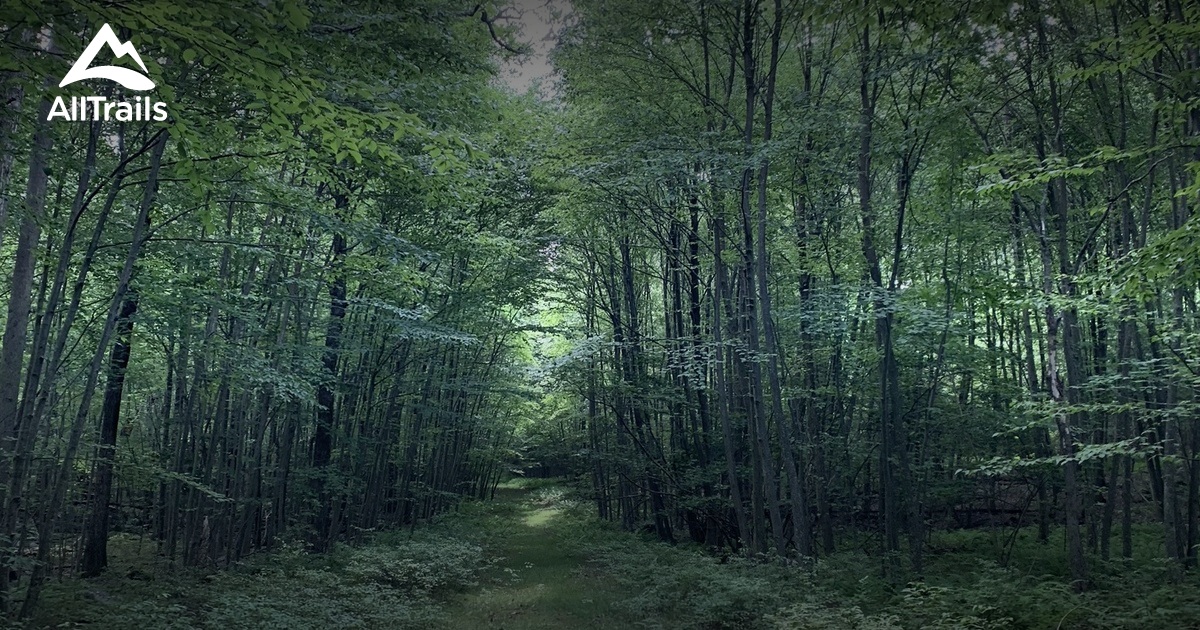 Best hikes and trails in Rowland | AllTrails