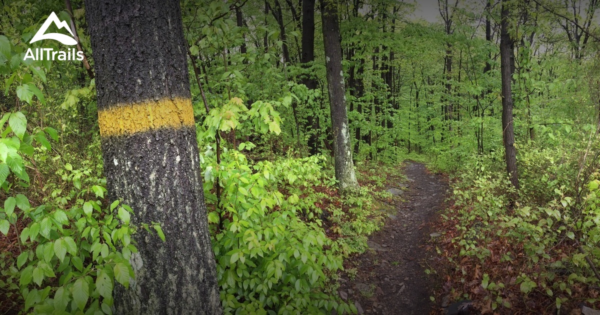 Best forest trails in Seward | AllTrails