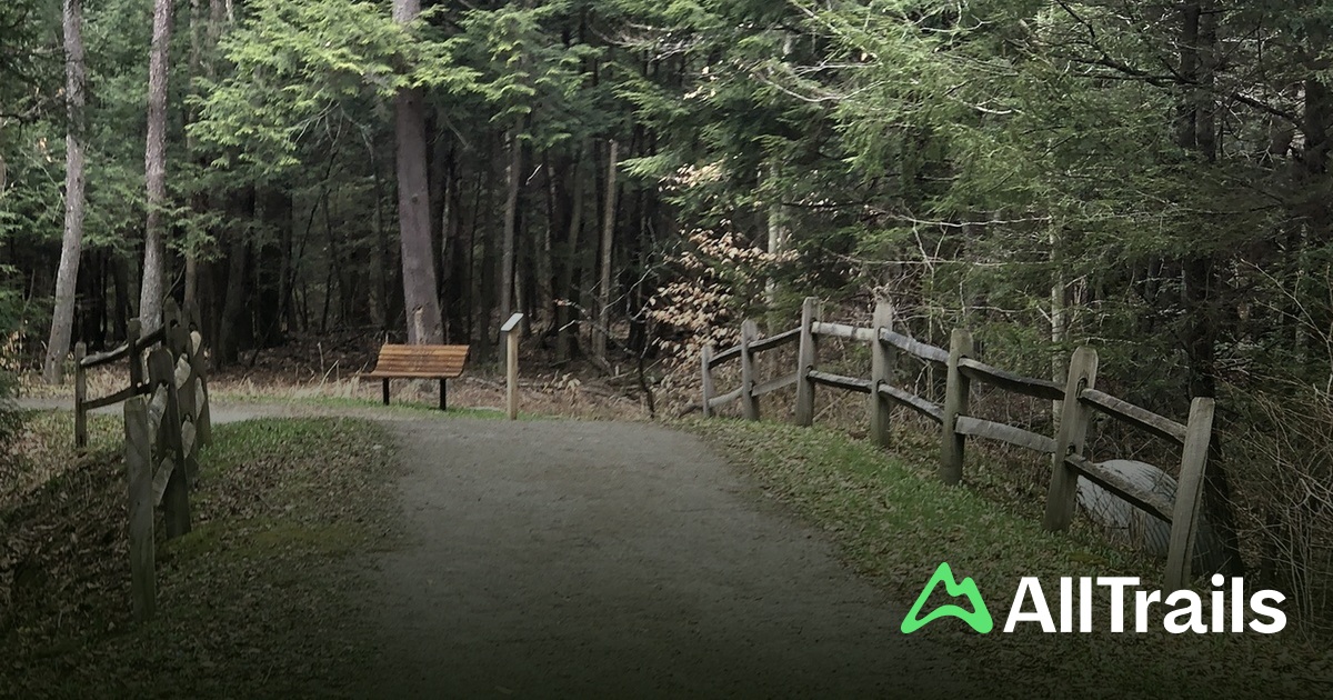 Best hikes and trails in Shanksville | AllTrails