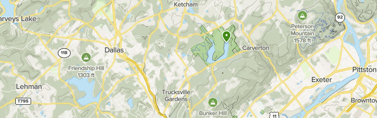 Best Hikes and Trails in Shavertown | AllTrails