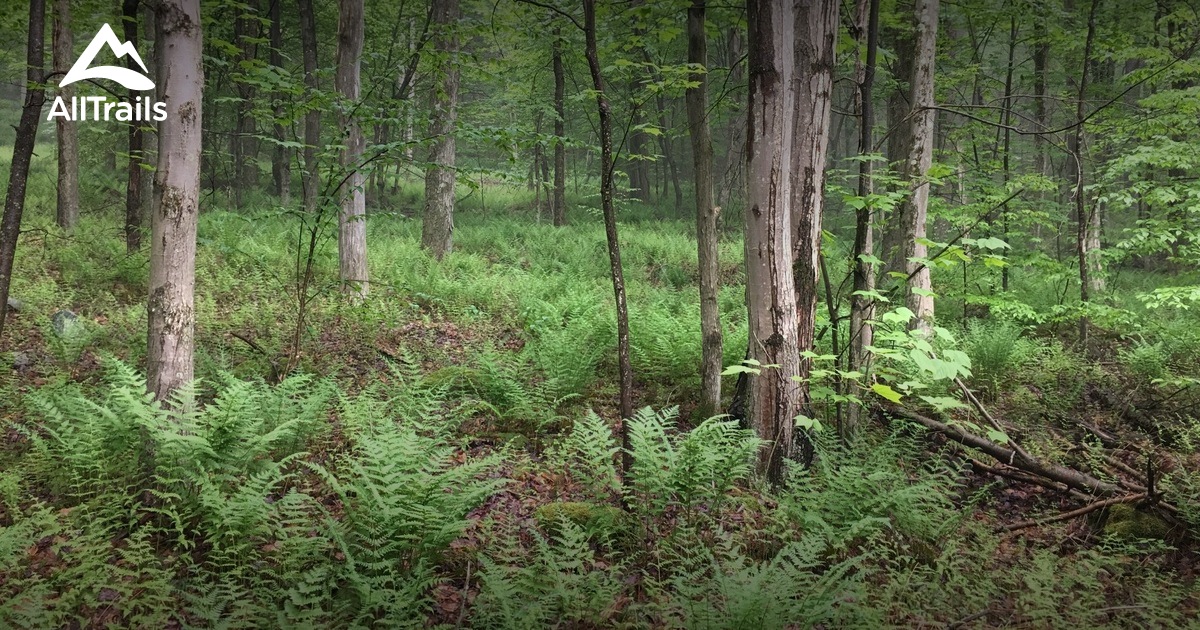 Best hikes and trails in Shunk | AllTrails