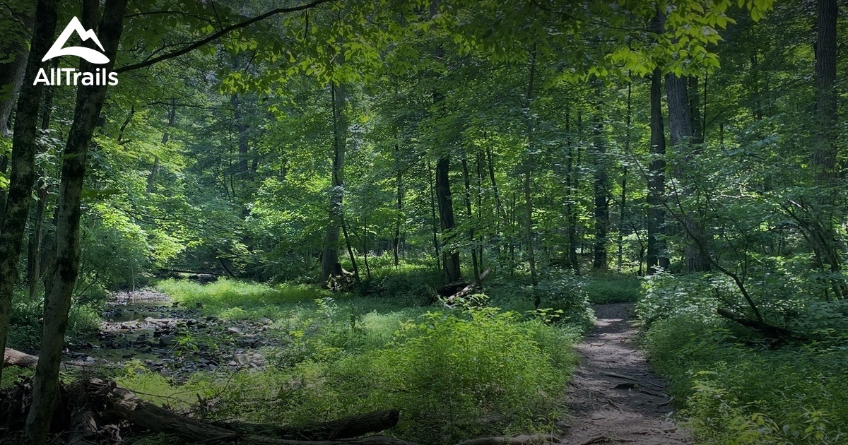 Best hikes and trails in Springtown | AllTrails