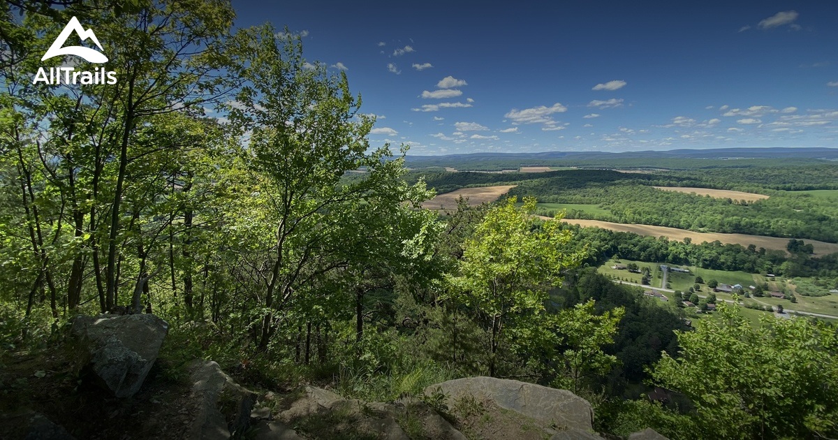 Best hikes and trails in Spruce Creek | AllTrails