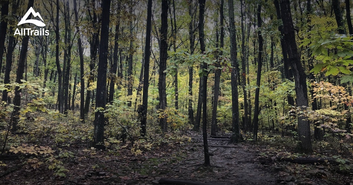 10 Best trails and hikes in State College | AllTrails