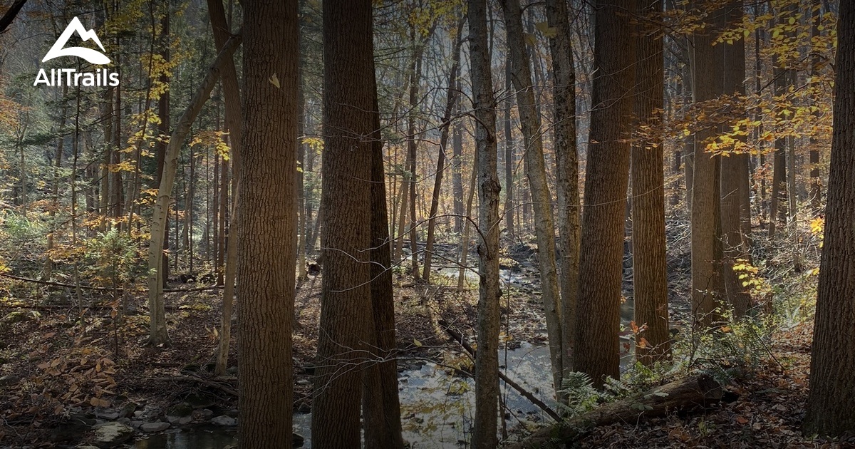 Best hikes and trails in Stevens | AllTrails