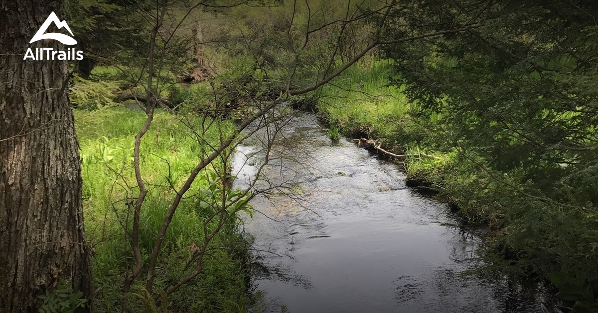 Best Trails near Sweet Valley, Pennsylvania | AllTrails