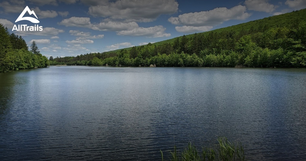 Best hikes and trails in Tamaqua | AllTrails