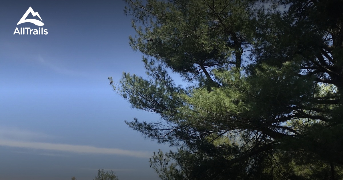 Melhores trilhos para trail running em Warminster | AllTrails