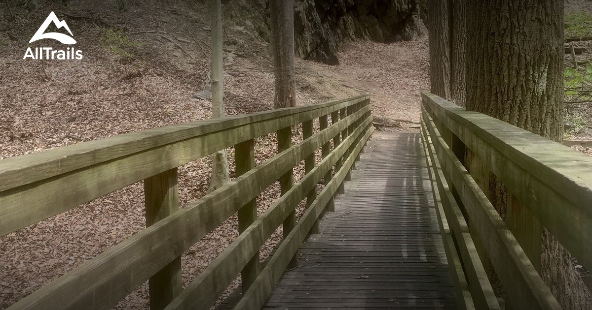 Die Besten Routen mit Botanischen Highlights in Wayne | AllTrails