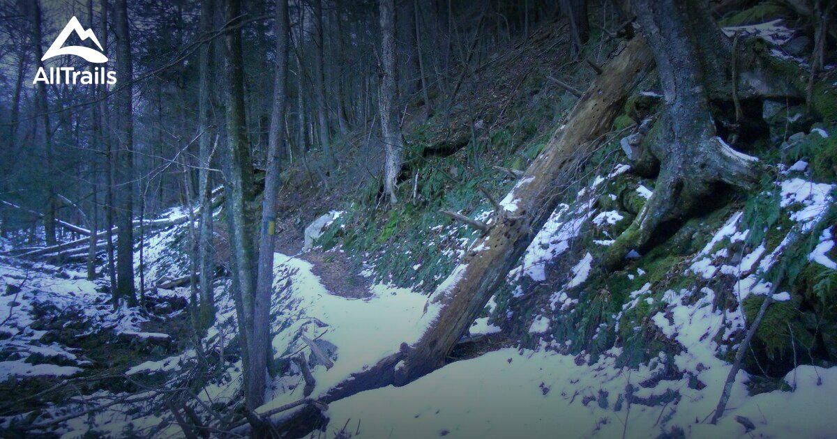 Best hikes and trails in Weikert | AllTrails
