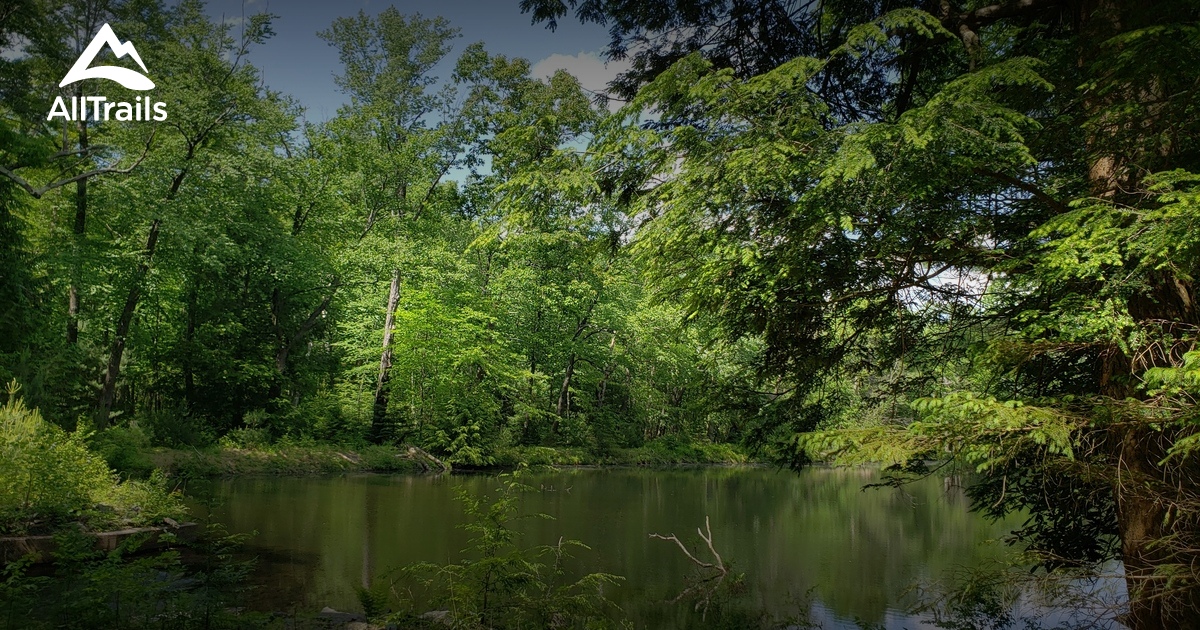 Best forest trails in Wilburton | AllTrails