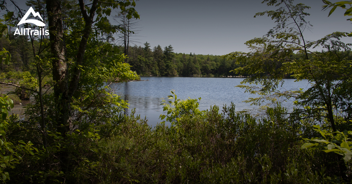 Best lake trails in Chepachet | AllTrails