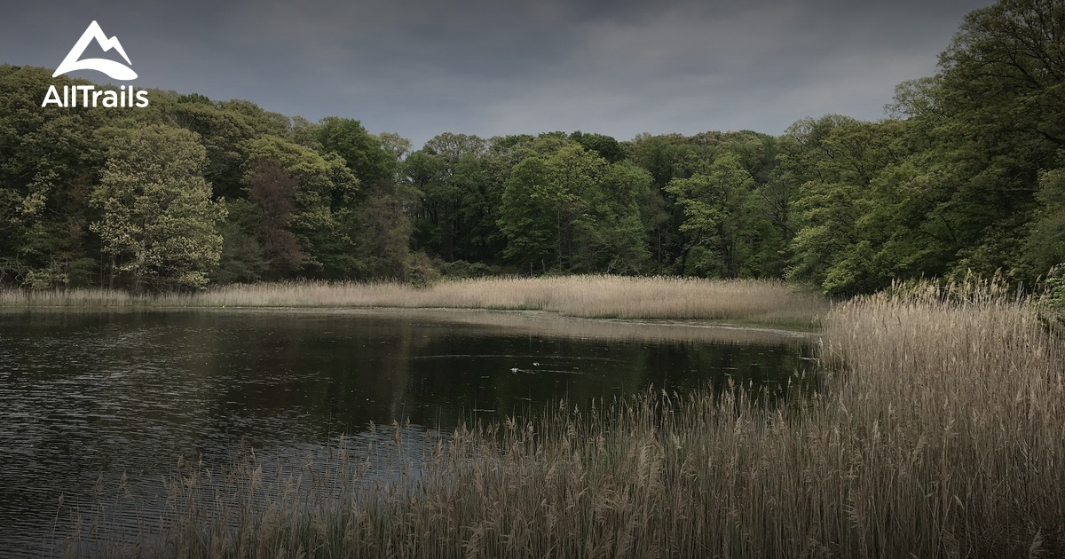 Best short trails in Riverside | AllTrails