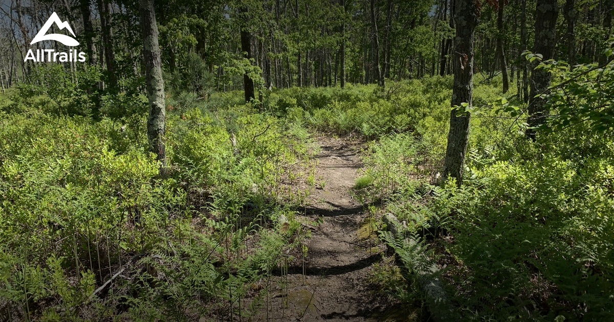 Best hikes and trails in Shannock | AllTrails