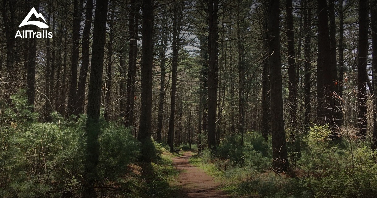 Best hikes and trails in Wyoming | AllTrails